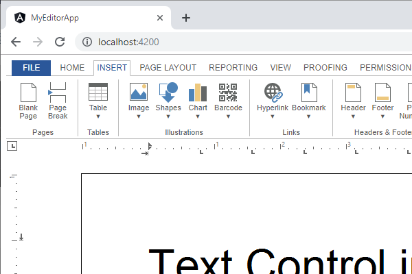 Creating An Angular Document Editor Application