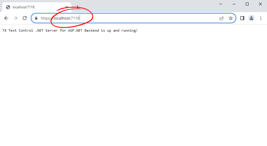 Building An Aspnet Core Backend Application To Host The Document Editor And Document Viewer